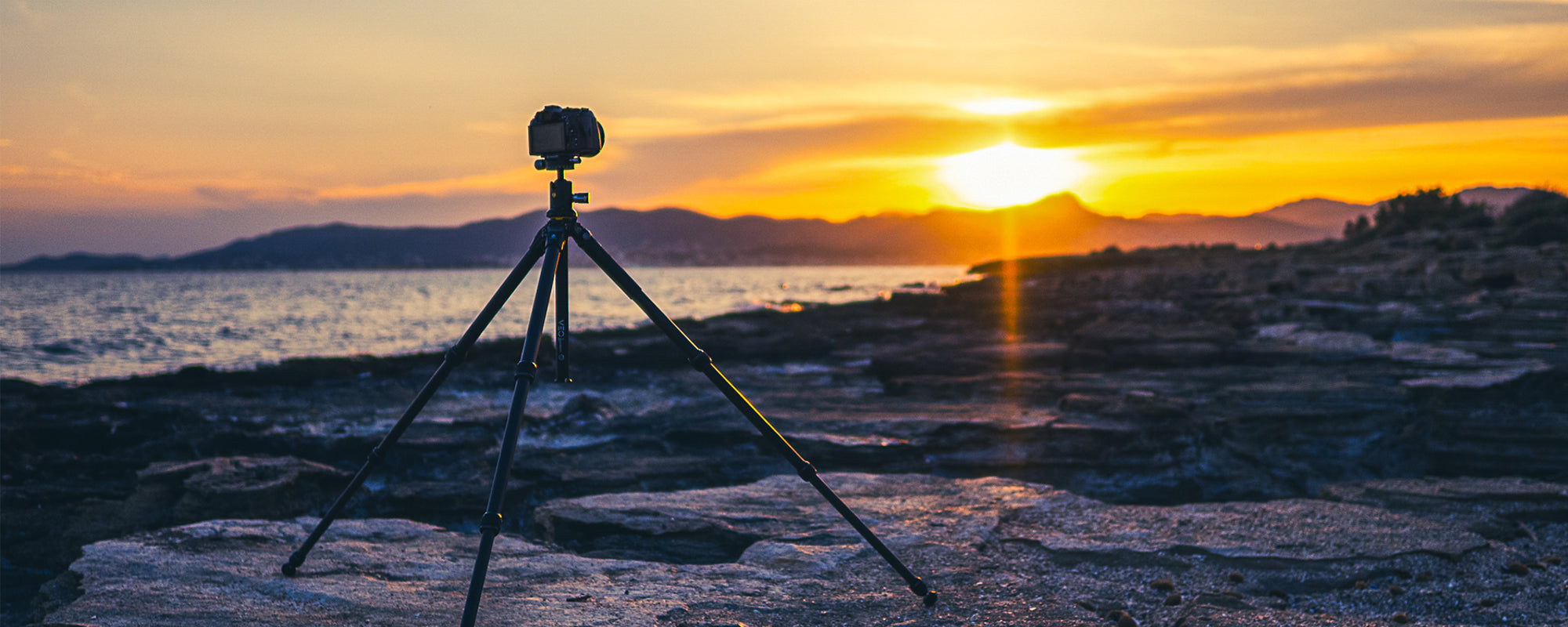 What Kind of Camera Tripod Do You Need? – Vanguard USA
