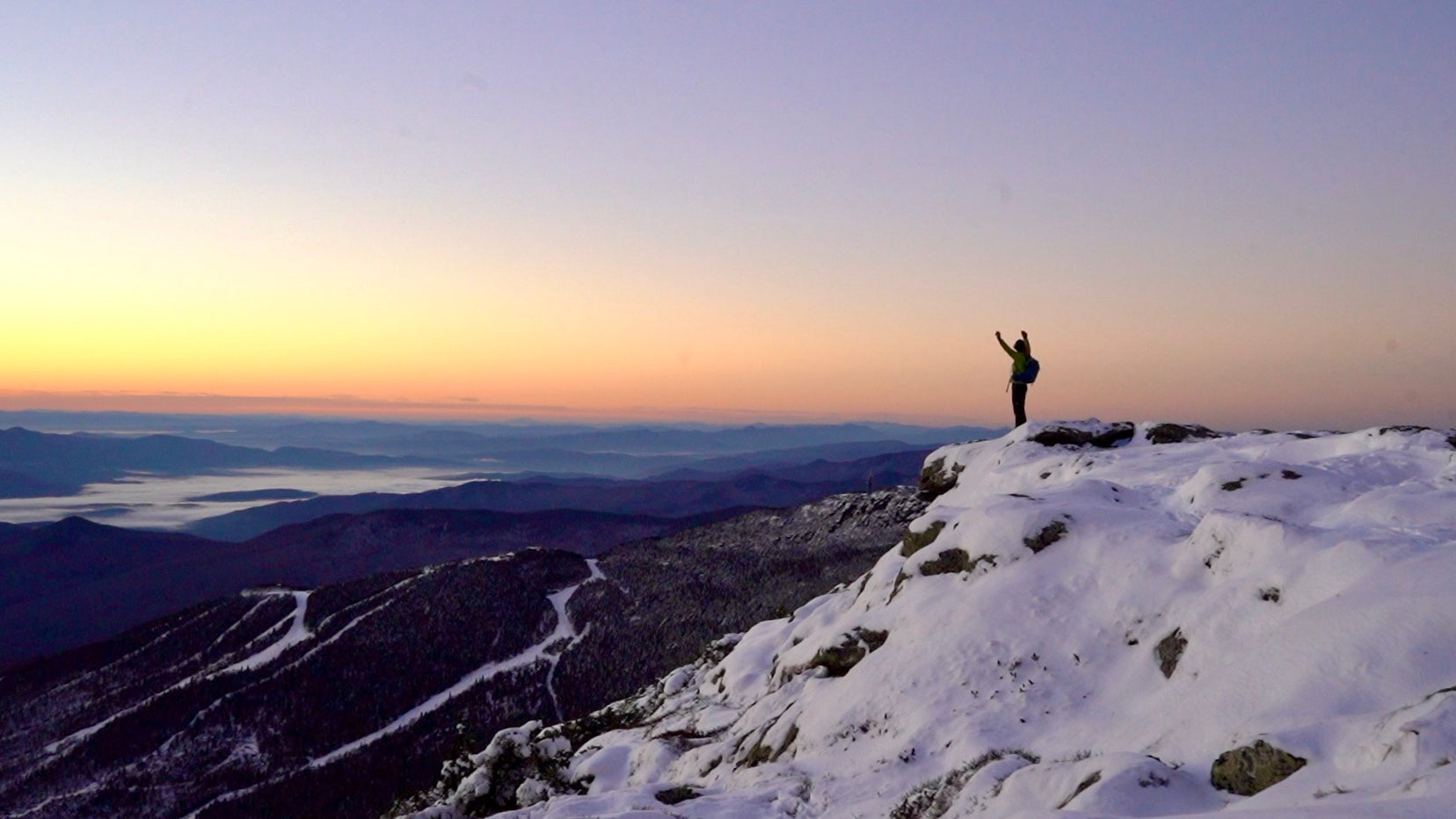 Vanguard VEO HD IV Binoculars – Vanguard USA